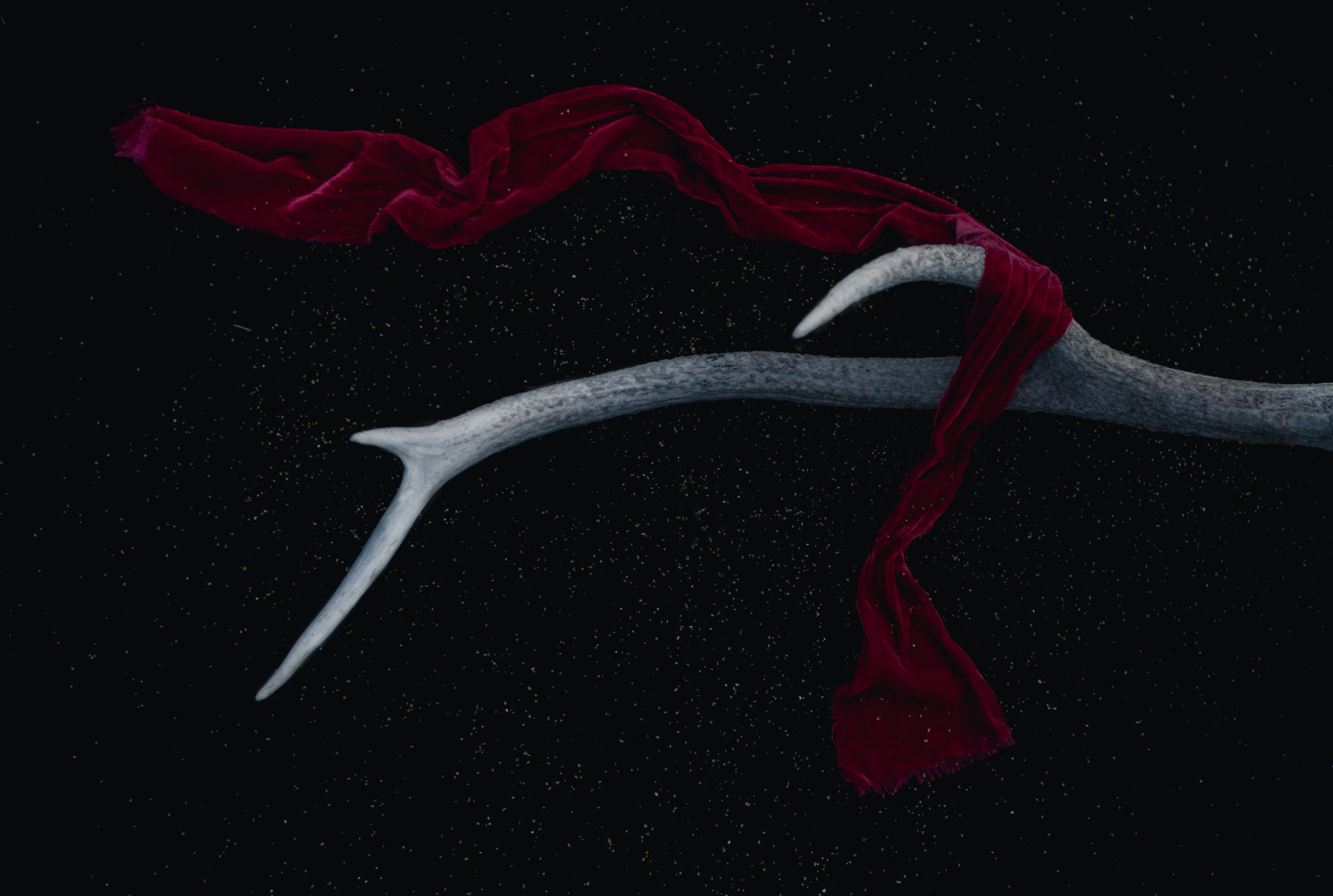 What is Dark Fantasy? – Dave Reed